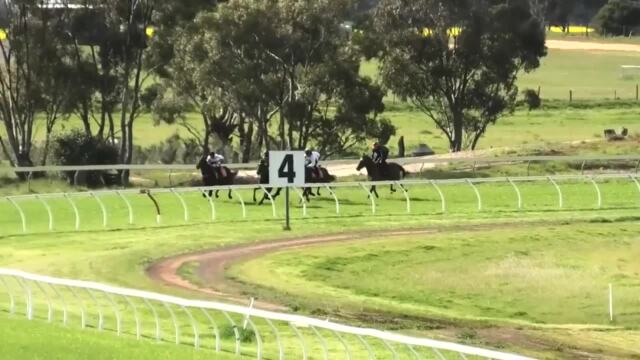 Donald Jump Out 4 12092022 | RACING.COM