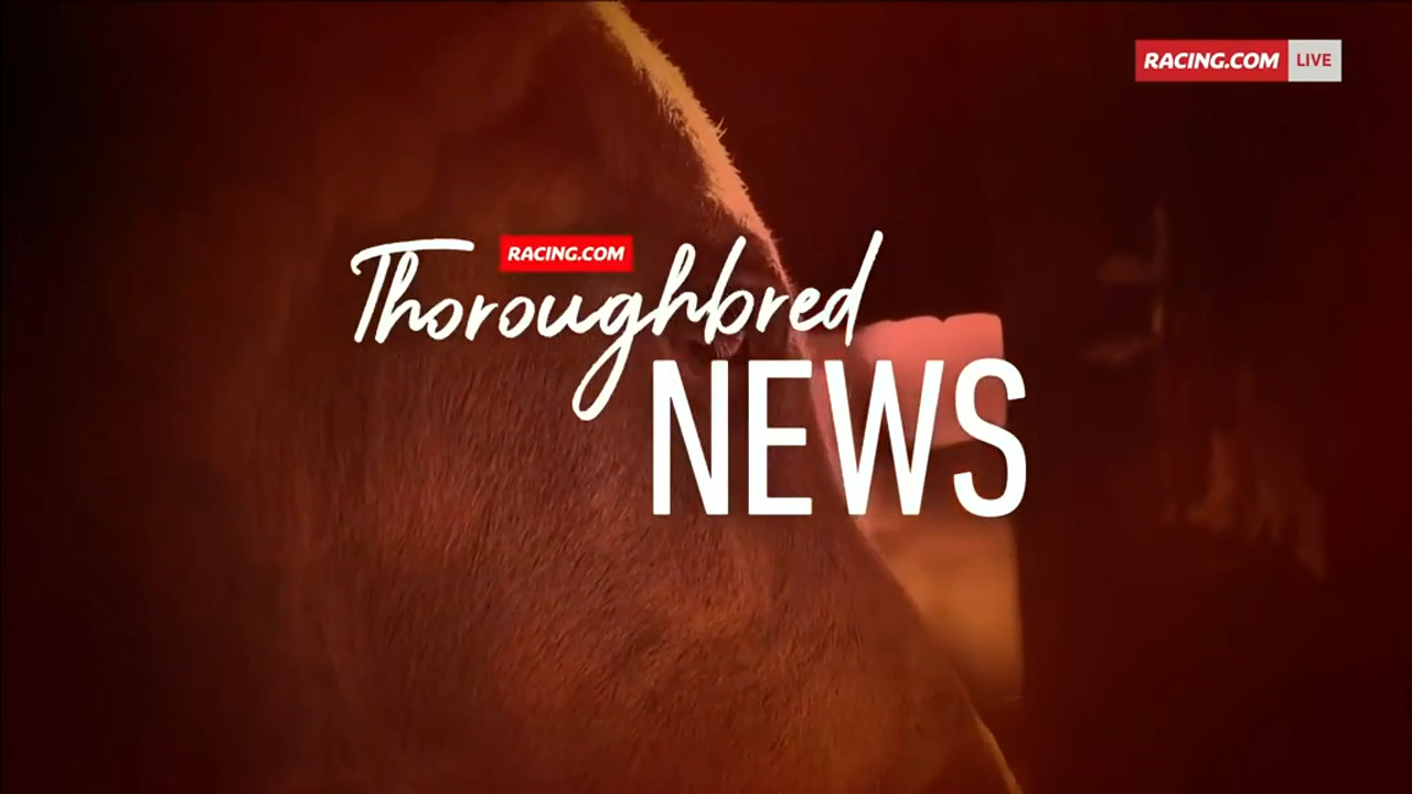 Thoroughbred News Mark Chittick | RACING.COM