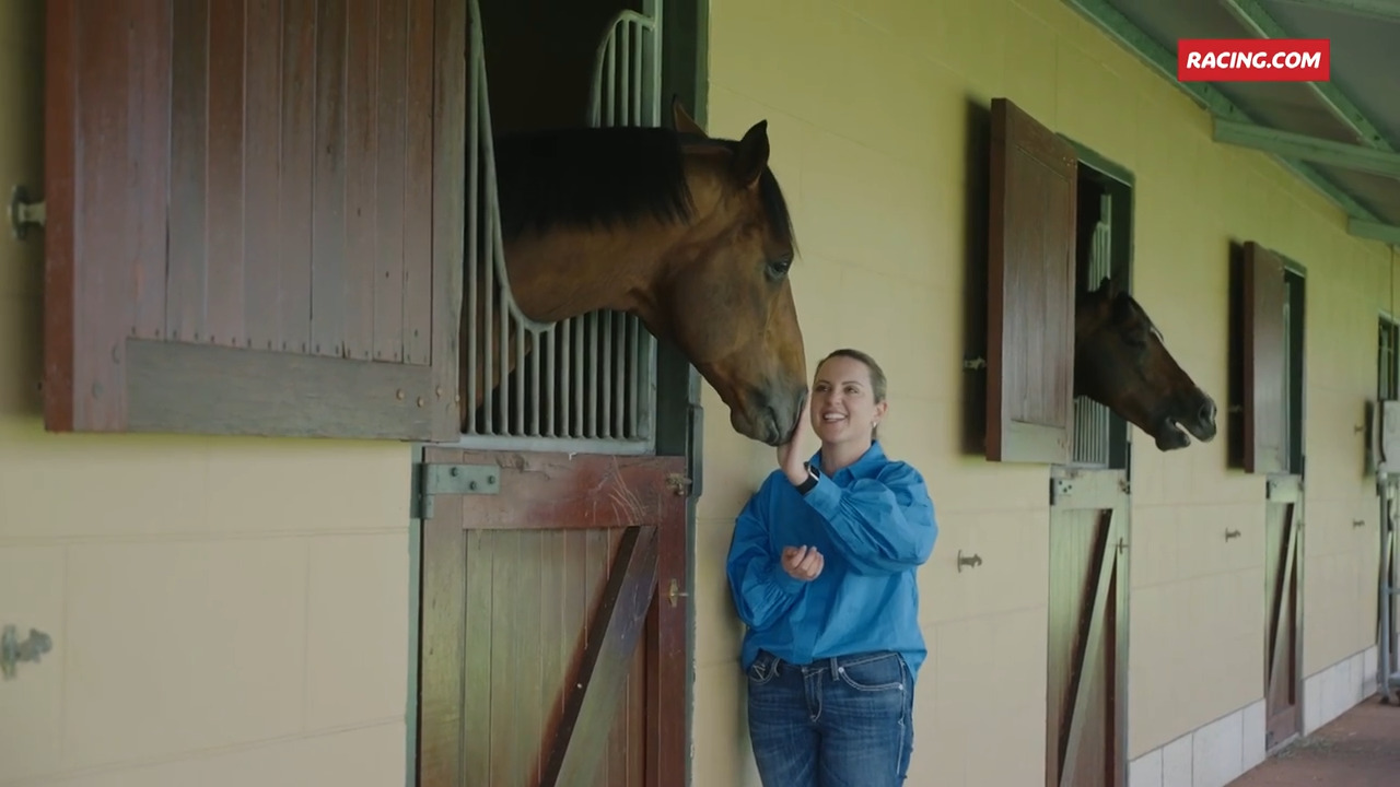 The Autumn Suns life as a stallion | RACING.COM