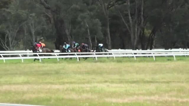 Murtoa Jump Out 1 11102022 | RACING.COM