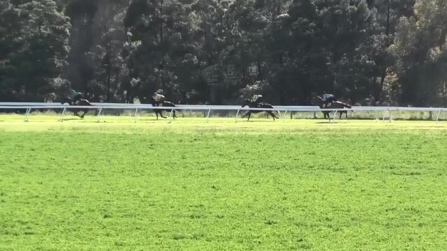 Casterton Jump Out 2 09112022 | RACING.COM