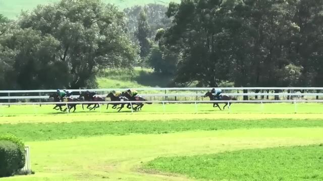 Casterton Jump Out 7 09112022 | RACING.COM