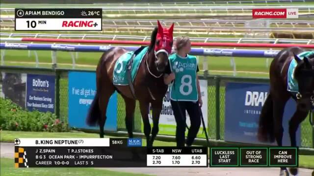 king neptune | RACING.COM