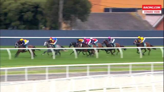 Geelong Race 05-Stewards Vision-13-11-22 | RACING.COM