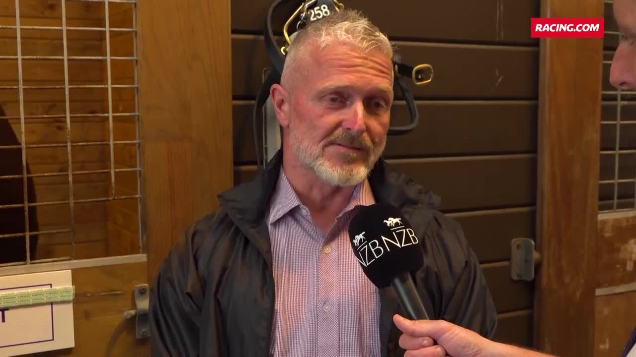 Capitalist colt top lot at RTR | RACING.COM