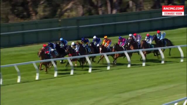 Bendigo Race 08-Stewards Vision-24-11-22 | RACING.COM