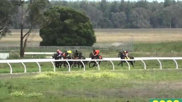 Mortlake Jump Out 7 29112022 | RACING.COM