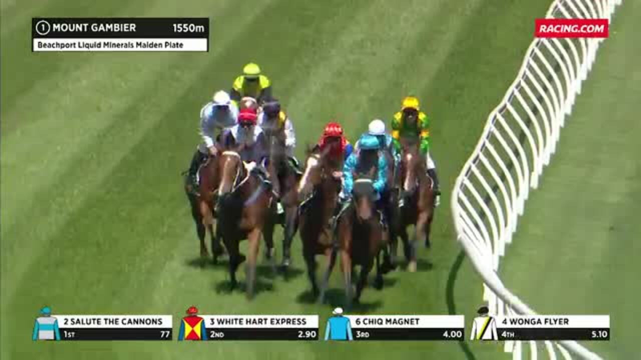 Mount Gambier Race 1 21222 | RACING.COM
