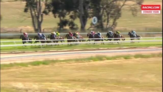 Stawell Race 08-Stewards Vision-03-12-22 | RACING.COM