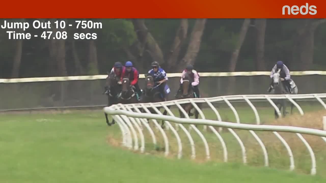 Balnarring Jump Out 10 23122220 | RACING.COM