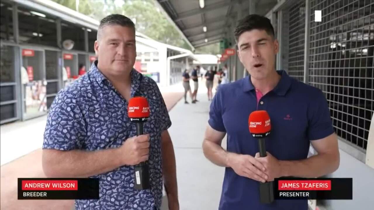 See You In Heaven half-brother to hit the ring at Magic Millions ...