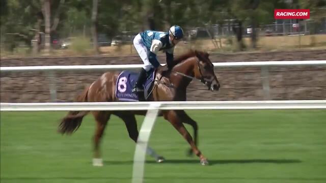 Flemington Race 1 C Maher D Eustace 140123 | RACING.COM