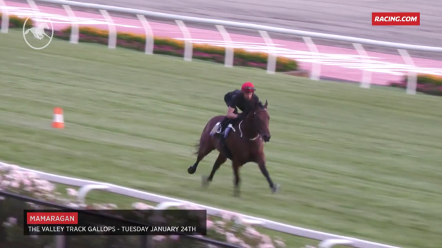 Mamaragan to have first run for Nick Ryan | RACING.COM