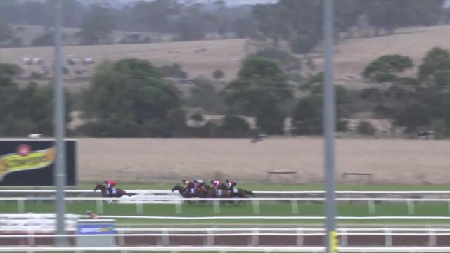 Pakenham Jump Out 1 21022023 | RACING.COM