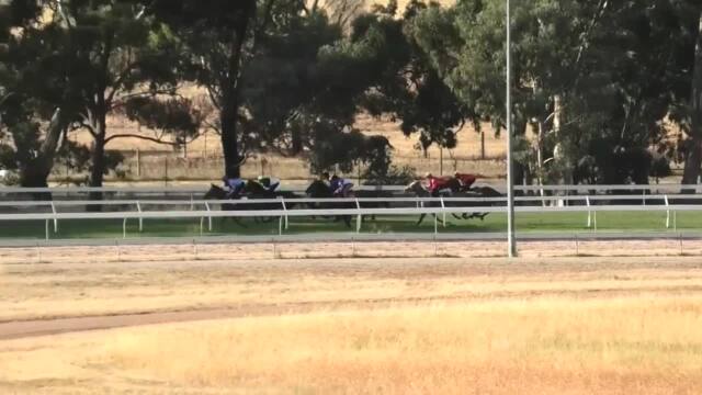 Stawell Jump Out 5 23022023 | RACING.COM