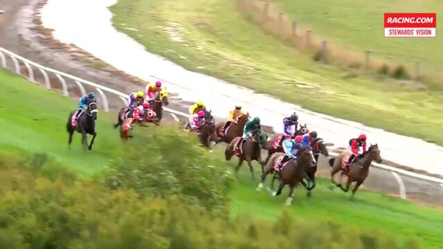 Stony Creek Race 04-Stewards Vision-11-03-23 | RACING.COM