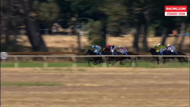 Avoca Race 08-Stewards Vision-24-03-23 | RACING.COM