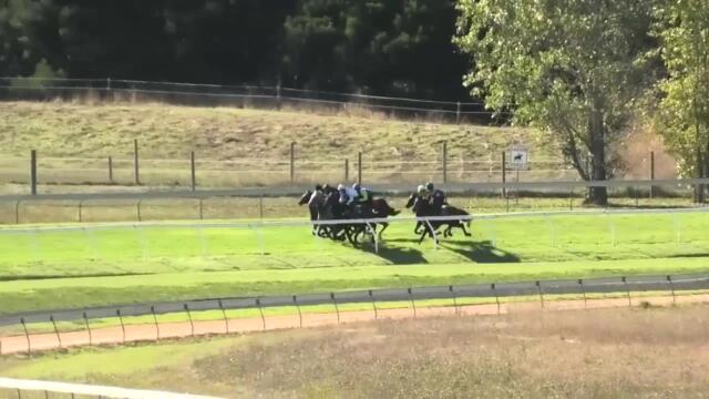 Hamilton Jump Out 8 03042023 | RACING.COM