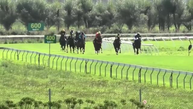 Terang Jump Out 9 17042023 | RACING.COM