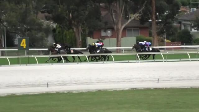 Horsham Jump Out 6 01052023 | RACING.COM