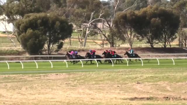 Donald Jump Out 13 20062023 | RACING.COM