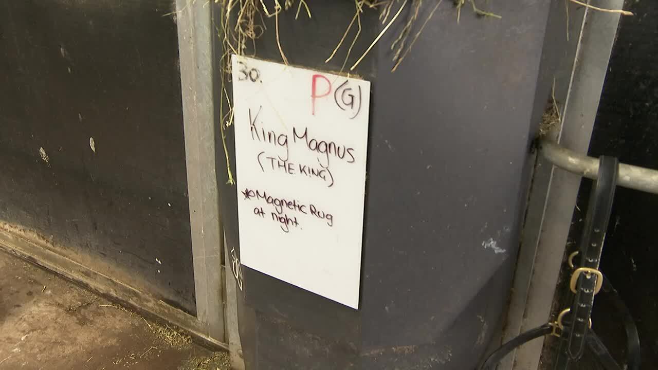 King Magnus is ready to rule at Flemington | RACING.COM