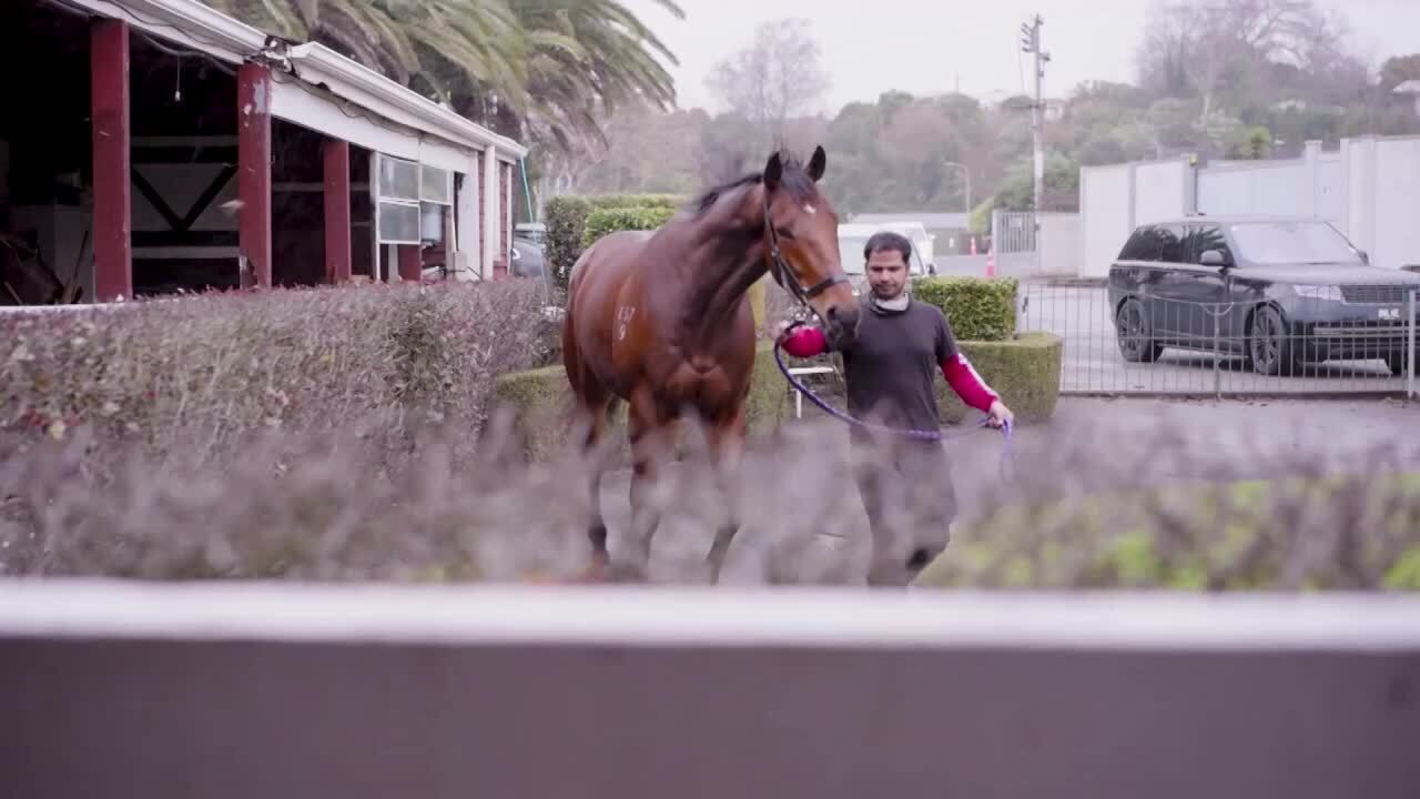 Sharp N Smarts Cup goal | RACING.COM