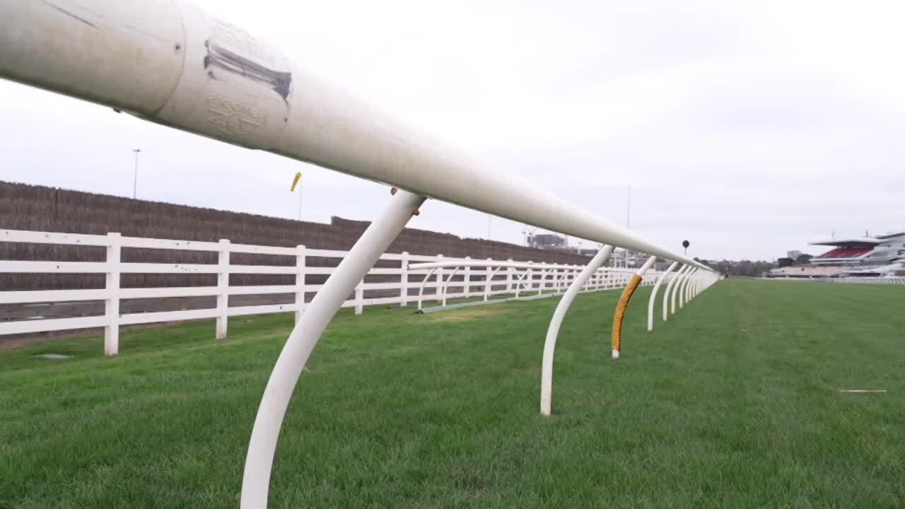 How will the track play at Flemington | RACING.COM