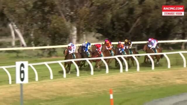 Donald Race 01-Stewards Vision-21-07-23 | RACING.COM