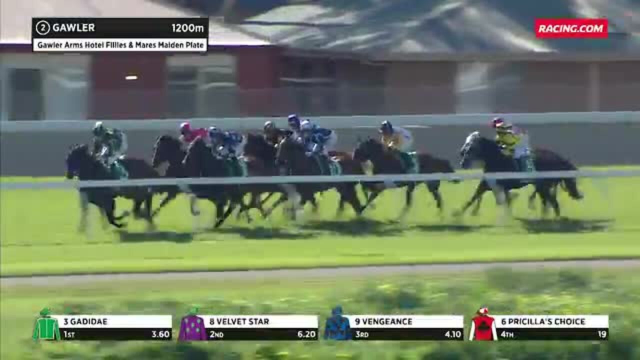 Gawler Race 2 20823 | RACING.COM