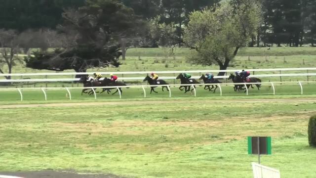 Casterton Jump Out 8 07082023 | RACING.COM