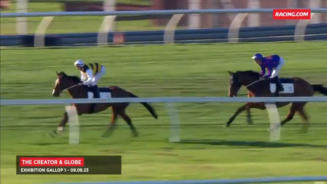 Globe What You Needs exhibition gallop | RACING.COM