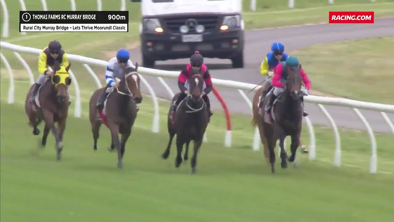 Murray Bridge GH Race 1 71023 | RACING.COM