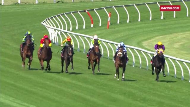 Sale Race 5 L T Corstens 111023 | RACING.COM