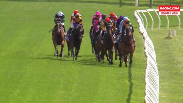 Hamilton Race 05-Stewards Vision-14-10-23 | RACING.COM