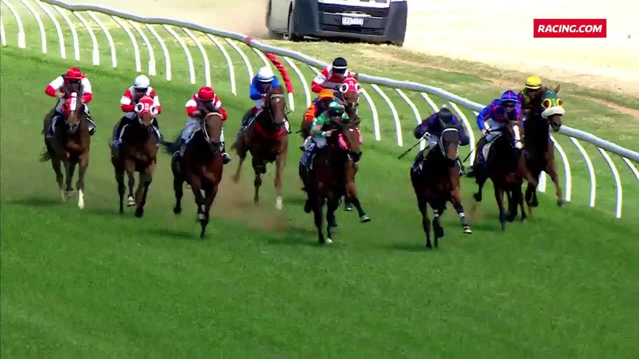 Swan Hill Race 4 161023 | RACING.COM