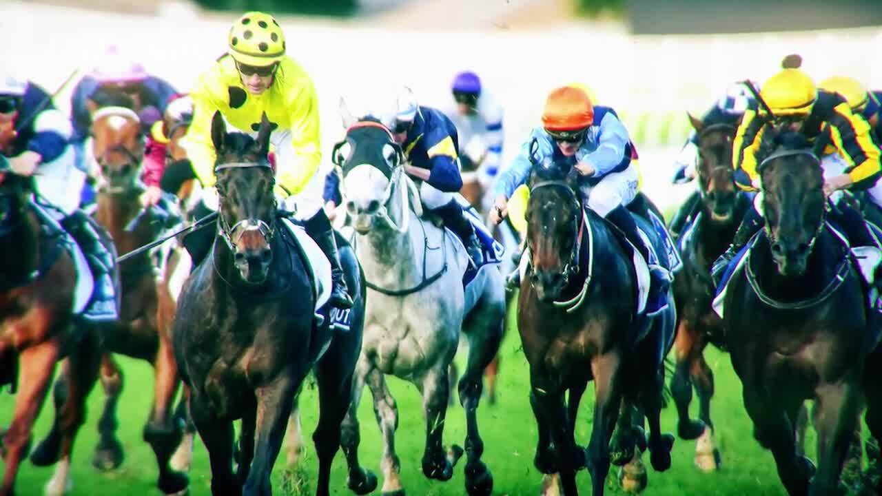 Without A Fight The One | RACING.COM