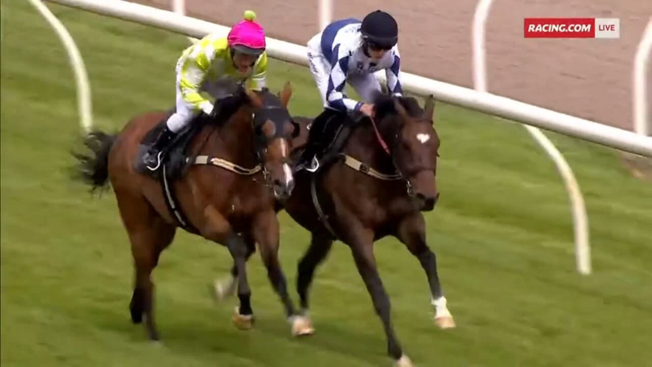 Cumani delighted with Captain ahead of Maccas Run | RACING.COM