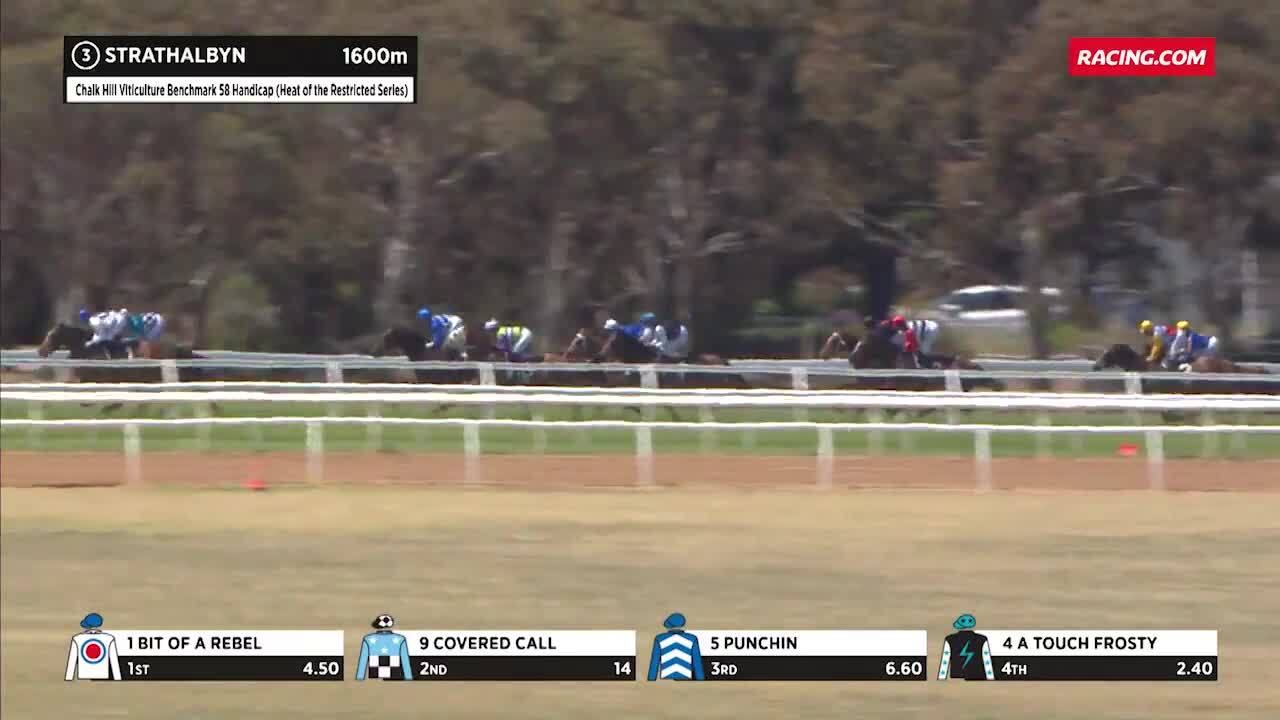 Strathalbyn Race 3 11123 | RACING.COM