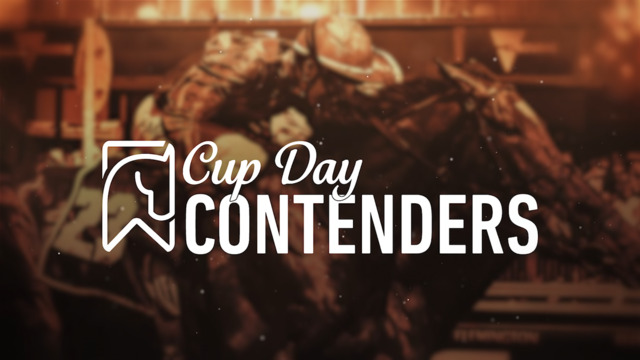 Contenders Cup Day Special 071123 | RACING.COM