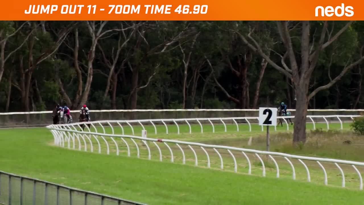 Balnarring Jump Out 11 15112023 | RACING.COM