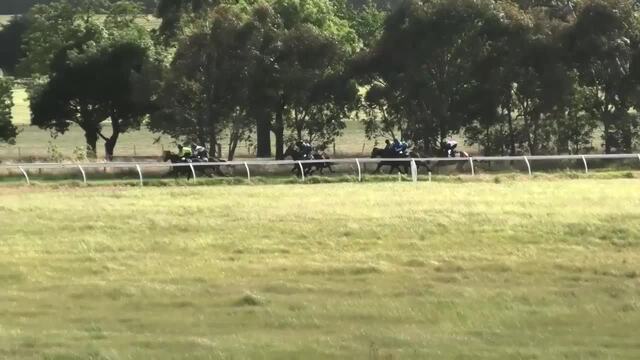 Burrumbeet Jump Out 1 17112023 | RACING.COM