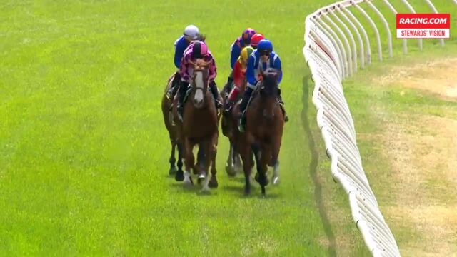 Donald Race 04-Stewards Vision-19-11-23 | RACING.COM