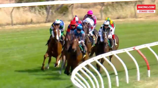 Donald Race 05-Stewards Vision-19-11-23 | RACING.COM