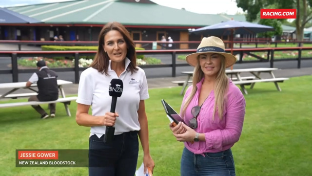 Gemma at NZB Ready to Run Sale | RACING.COM