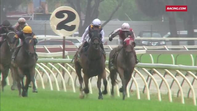 Wodonga Race 7 D J McCarthy 241123 | RACING.COM