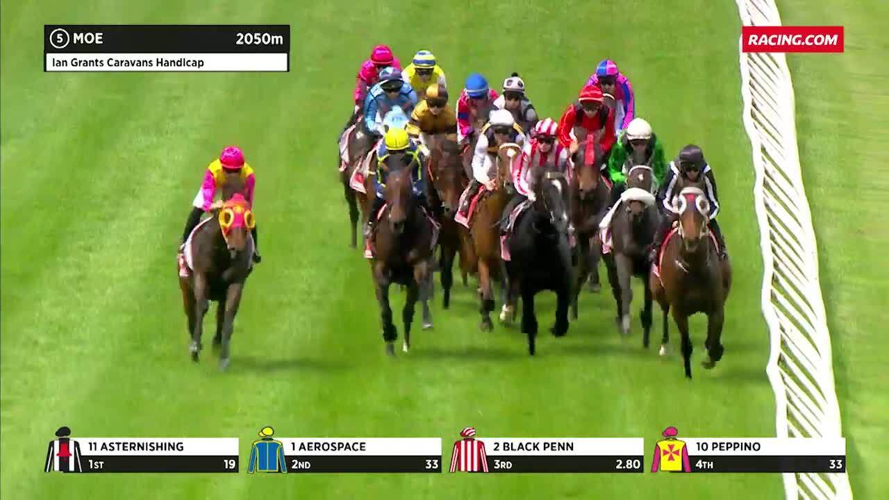 Moe Race 5 81223 | RACING.COM