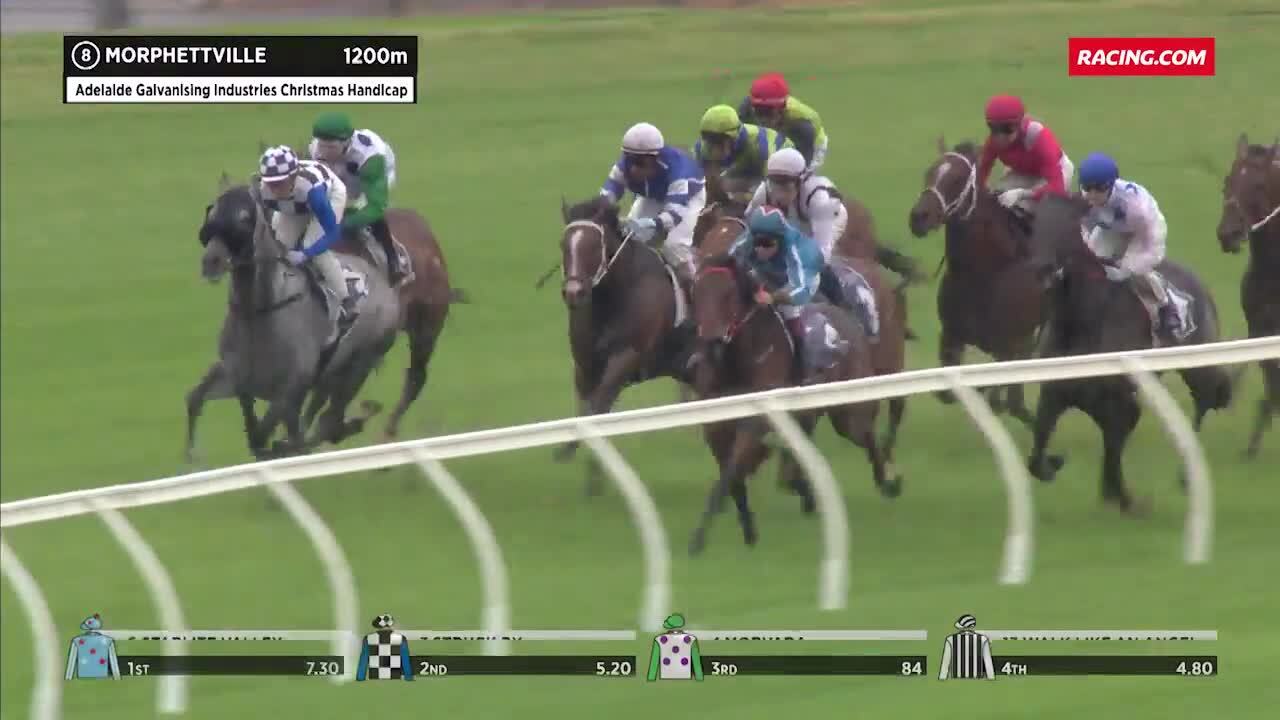 Morphettville Race 8 91223 | RACING.COM
