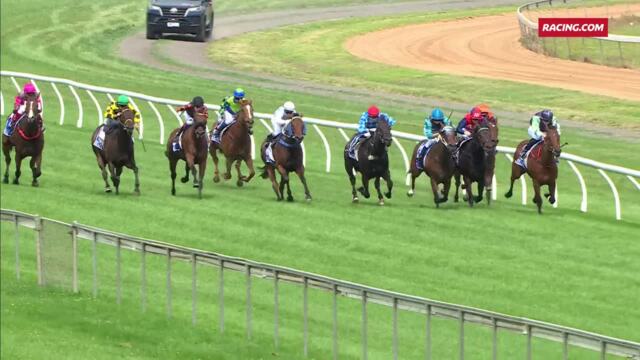 Hamilton Race 7 W P Cerchi 121223 | RACING.COM