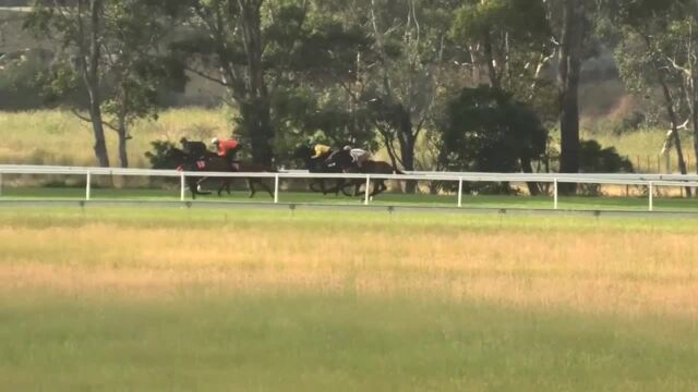 Hamilton Jump Out 1 13122023 | RACING.COM